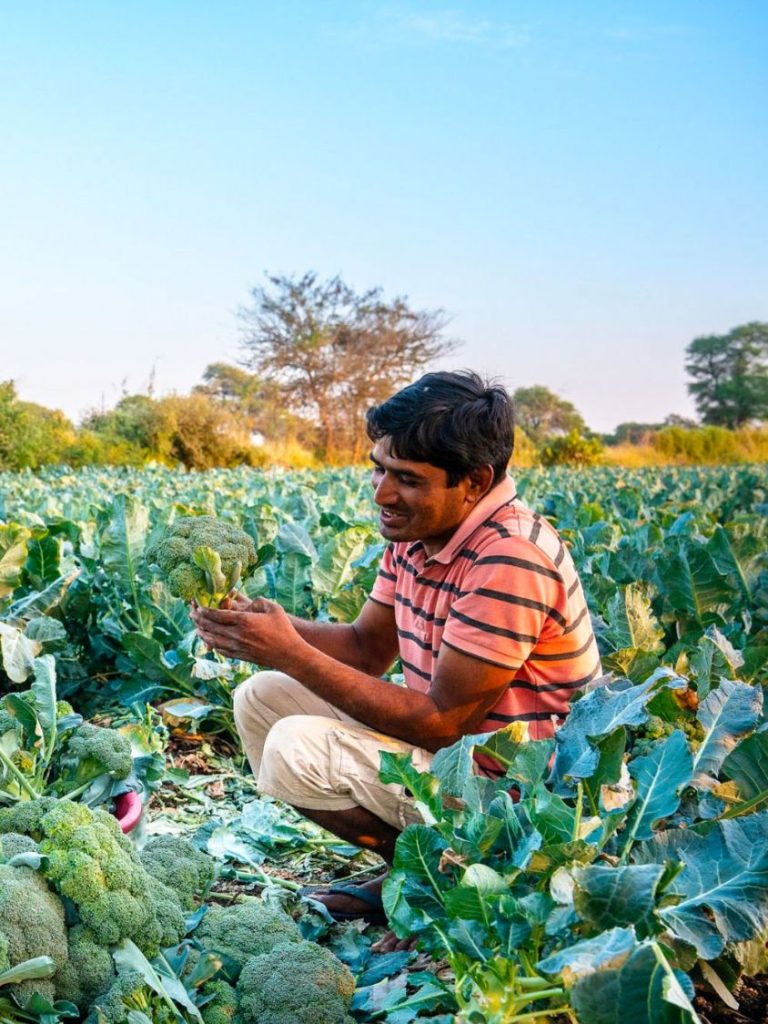 Who Are Marginal Farmers? - Feed
