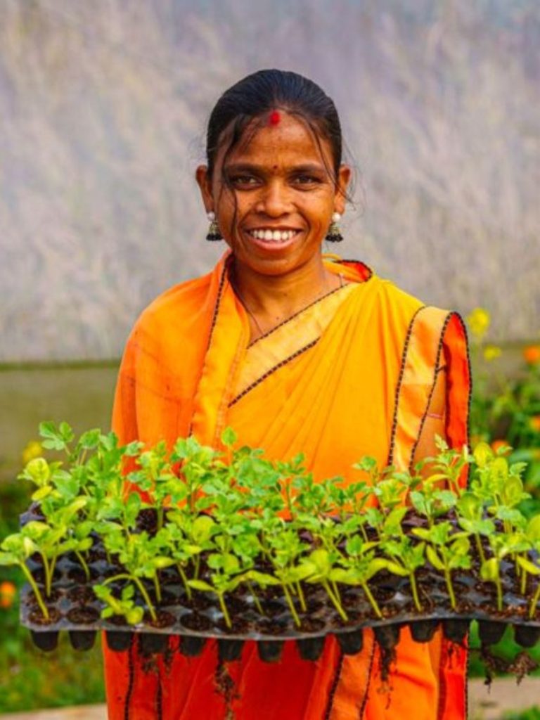 Who Are Marginal Farmers? - Feed