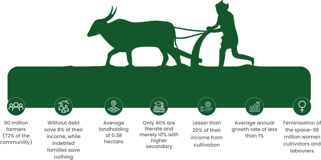 Who Are Marginal Farmers? - Feed